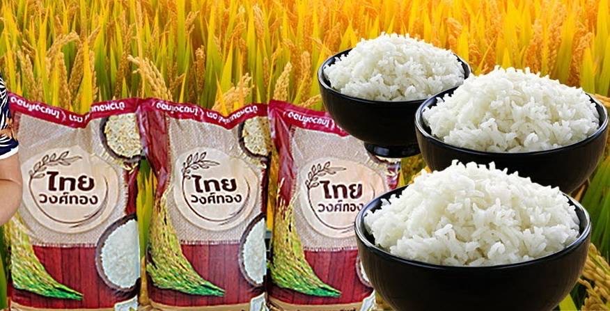 ตราฉัตรส่ง “ข้าวไทยวงศ์ทอง” ร่วม Big C Rice Fair วันนี้-8 มี.ค. จัดโปร ...
