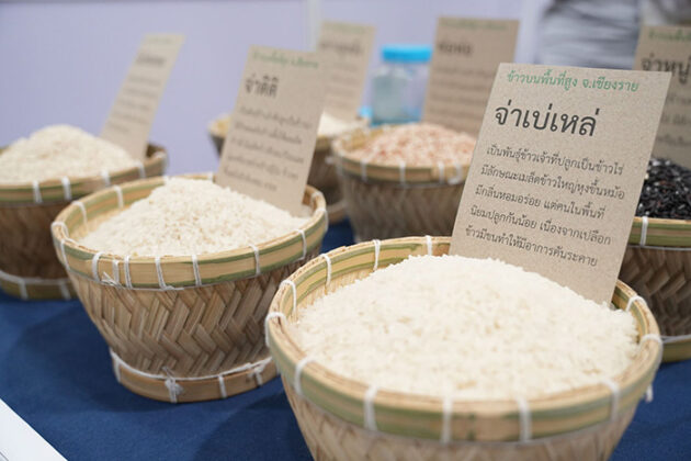 Thailand Rice Fest 2024 เทศกาลข้าวที่ใหญ่สุดในไทย ยกระดับวงการข้าวไทย ...